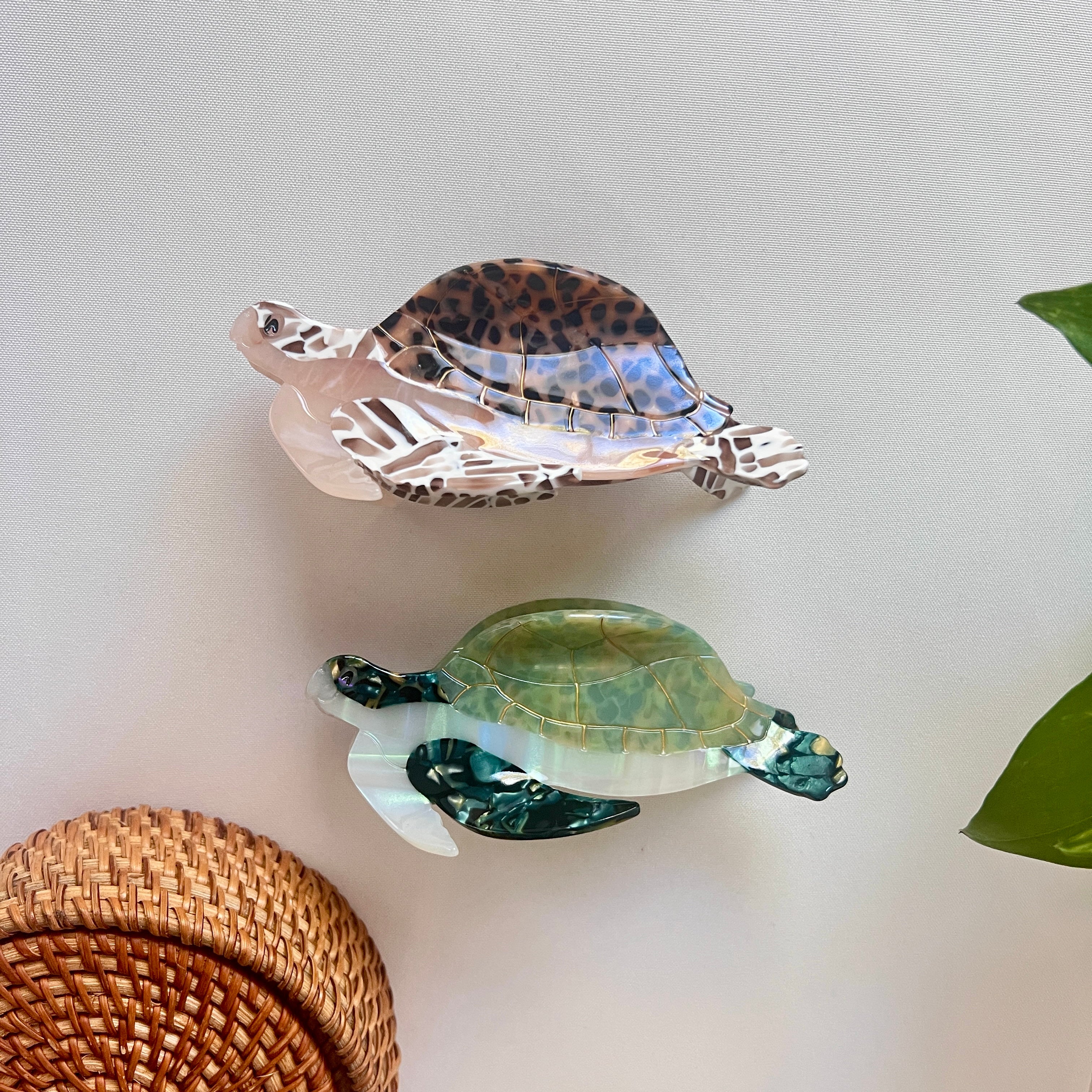 Sea Turtle Clip – Jessie and Sky